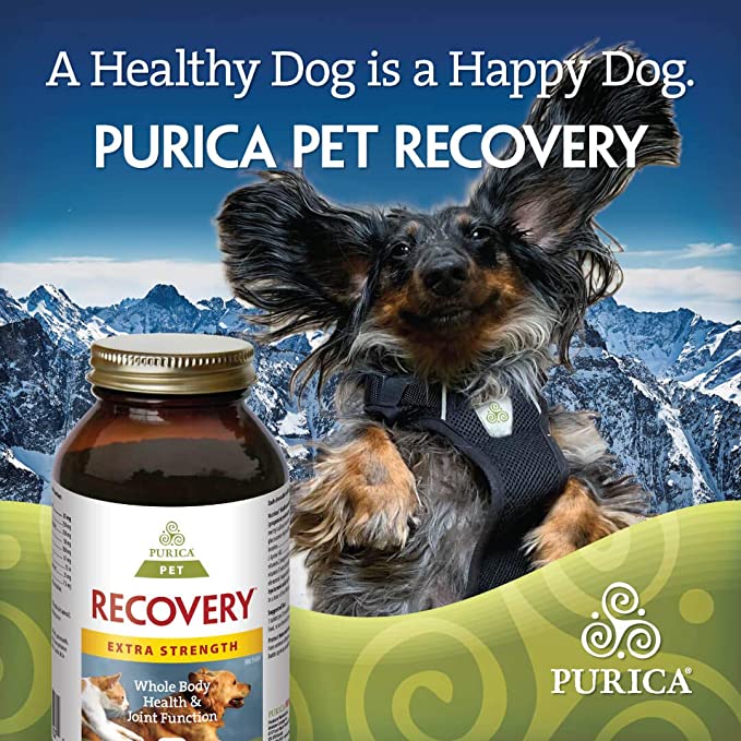 Purica Pet Recovery - Sleep Rover